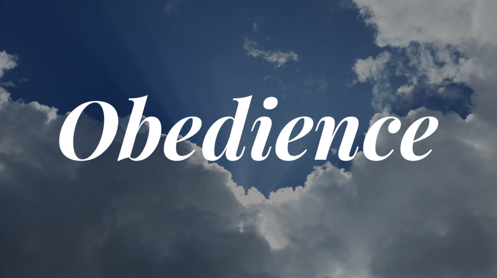 Obedience - Radical Mentoring