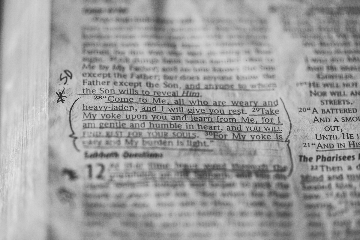 What Do I Expect From God? - Radical Mentoring