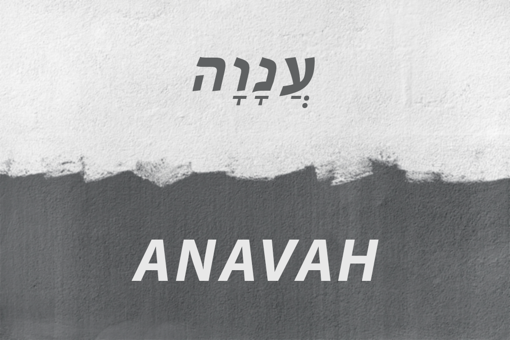 Anavah - Radical Mentoring
